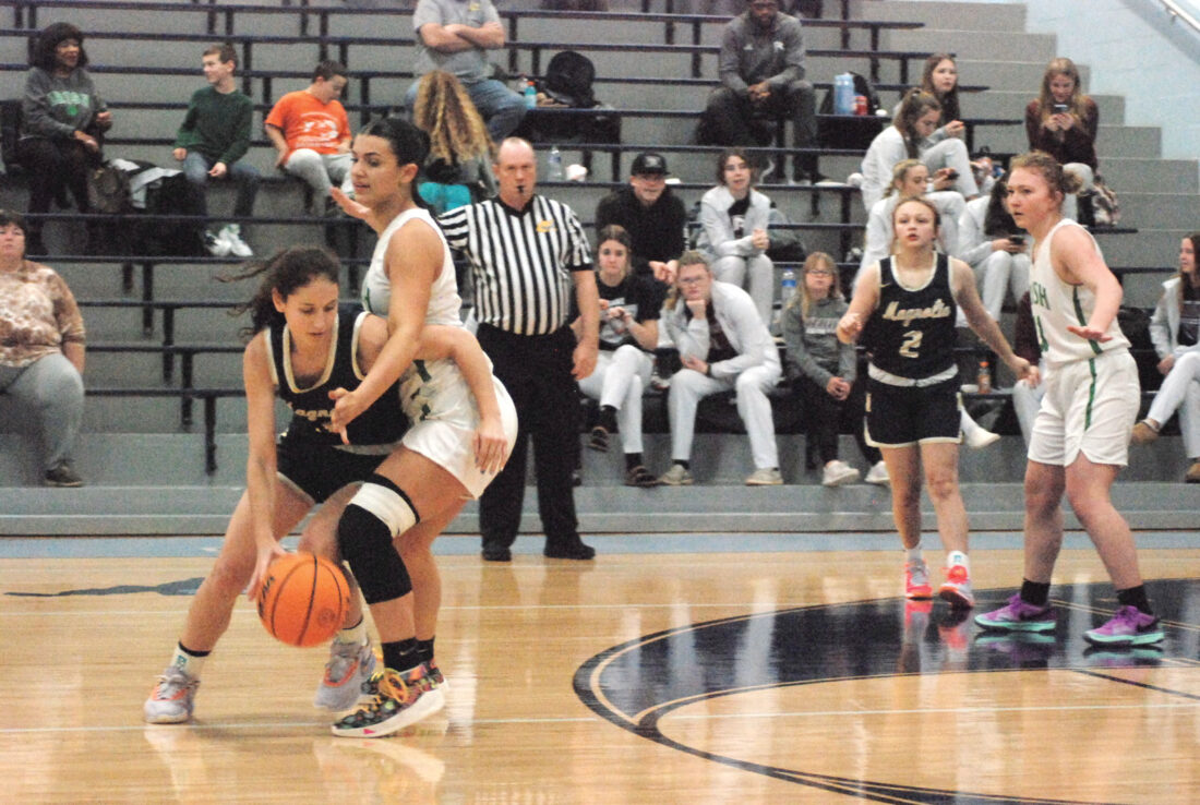 Roane County 85 Magnolia 40 | News, Sports, Jobs - Wetzel Chronicle